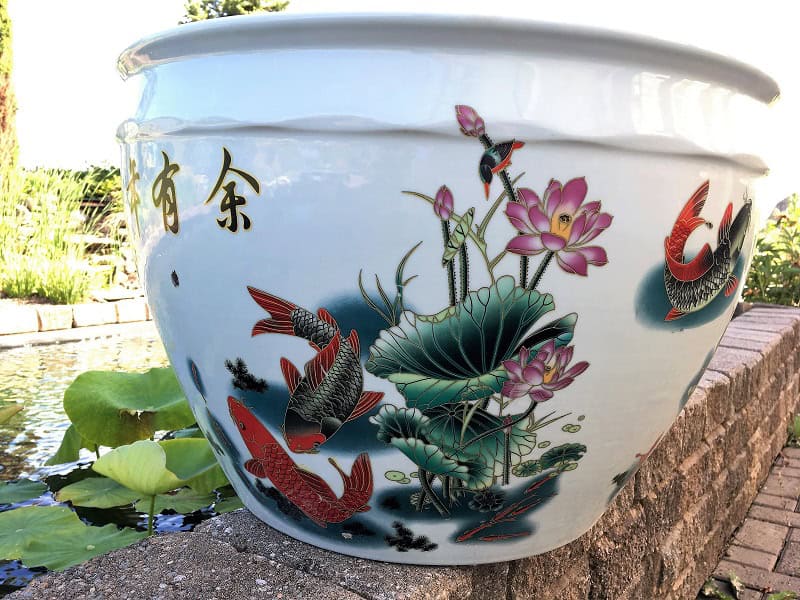 Chinese Lotus Pot – Bergen Water Gardens, Lotus Paradise
