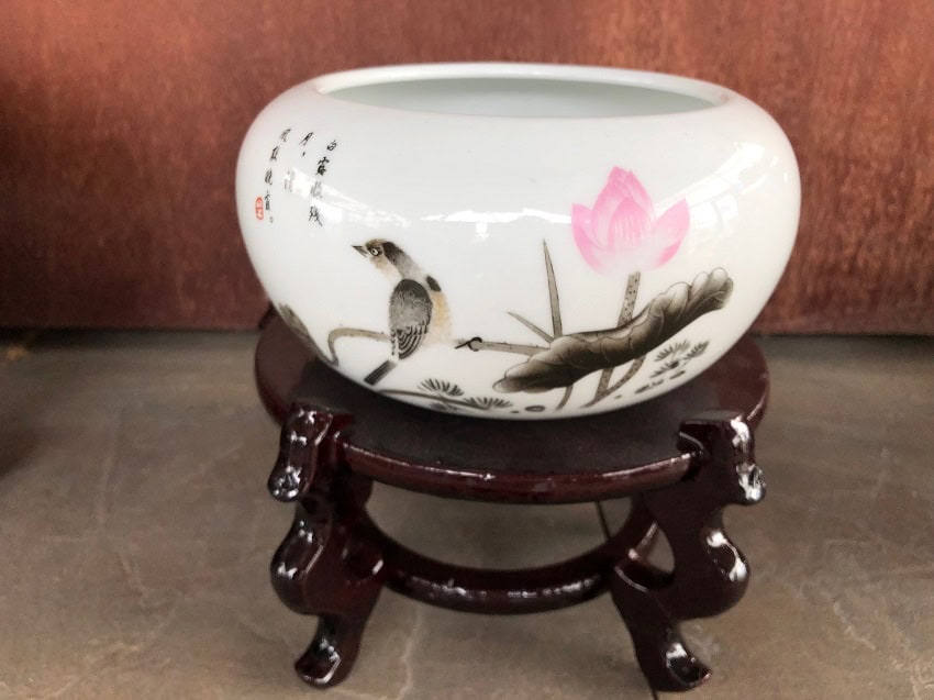 Bird & Lotus Micro Lotus Pot 14 – Bergen Water Gardens, Lotus Paradise