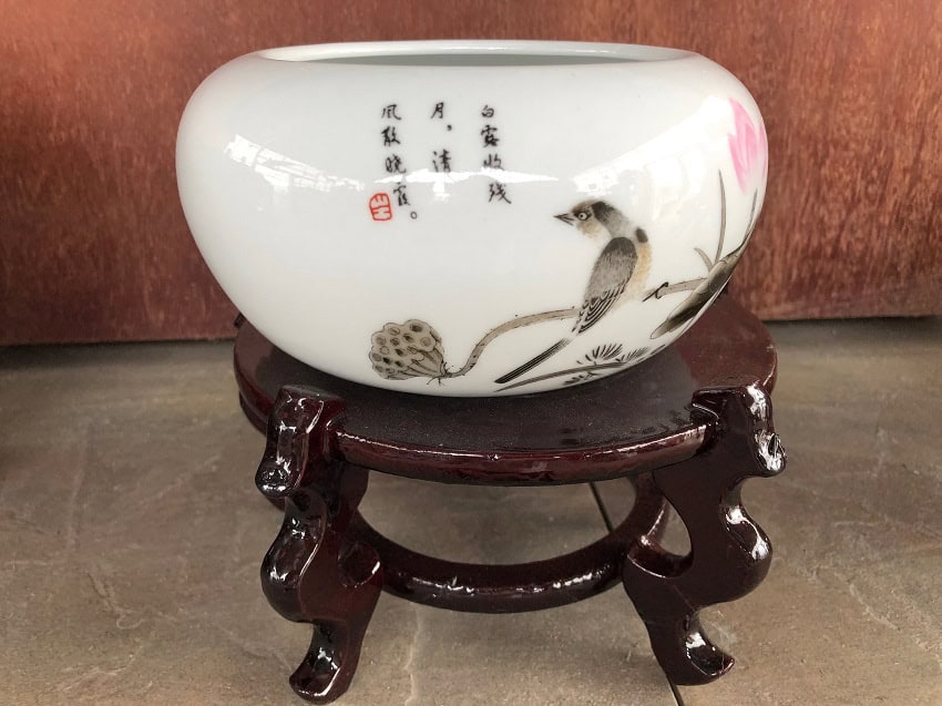 Bird & Lotus Micro Lotus Pot 14 – Bergen Water Gardens, Lotus Paradise