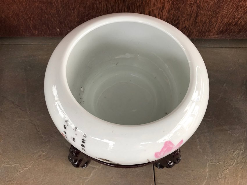 Bird & Lotus Micro Lotus Pot 14 – Bergen Water Gardens, Lotus Paradise