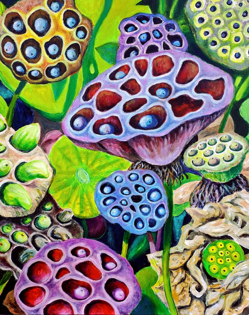 LotusFest 2025 – Bergen Water Gardens, Lotus Paradise
